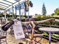 CHALET SUZANNE: The forgotten gem of Lake Wales