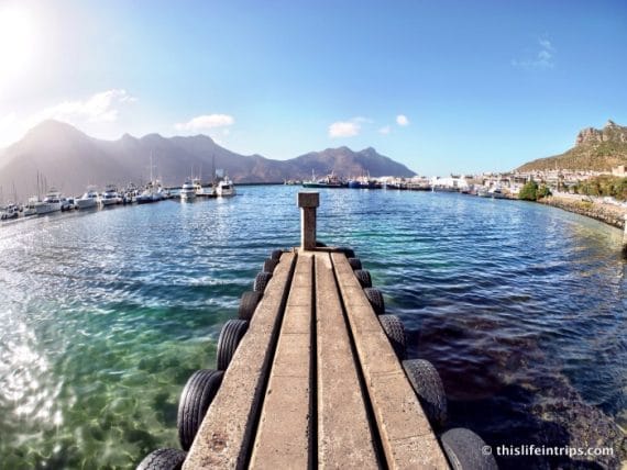 A Day Trip to Cape point with PG tops Tours - This Life in Trips