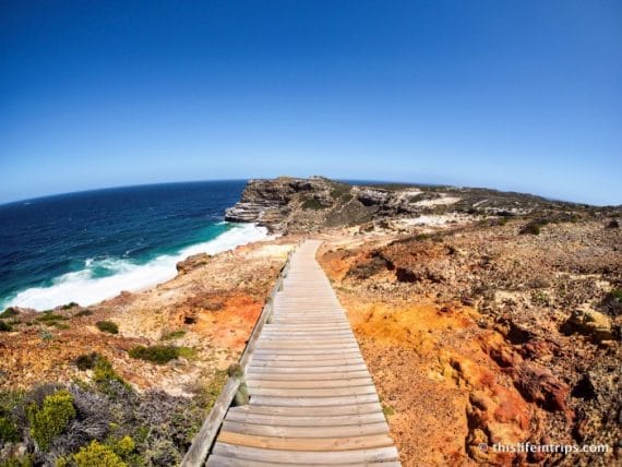A Day Trip to Cape point with PG tops Tours - This Life in Trips