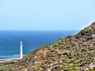 A Day Trip to Cape point with PG tops Tours - This Life in Trips