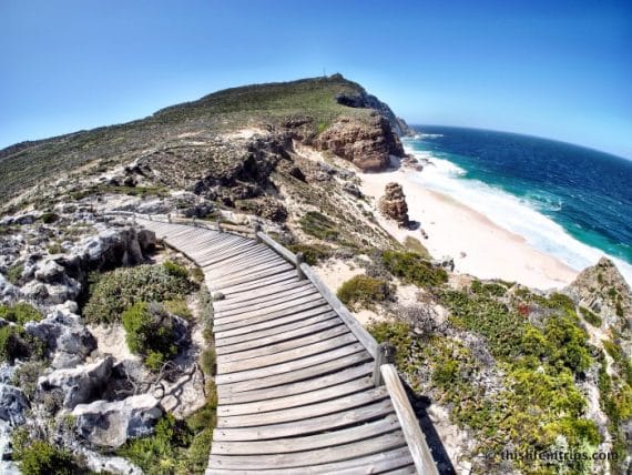 A Day Trip to Cape point with PG tops Tours - This Life in Trips