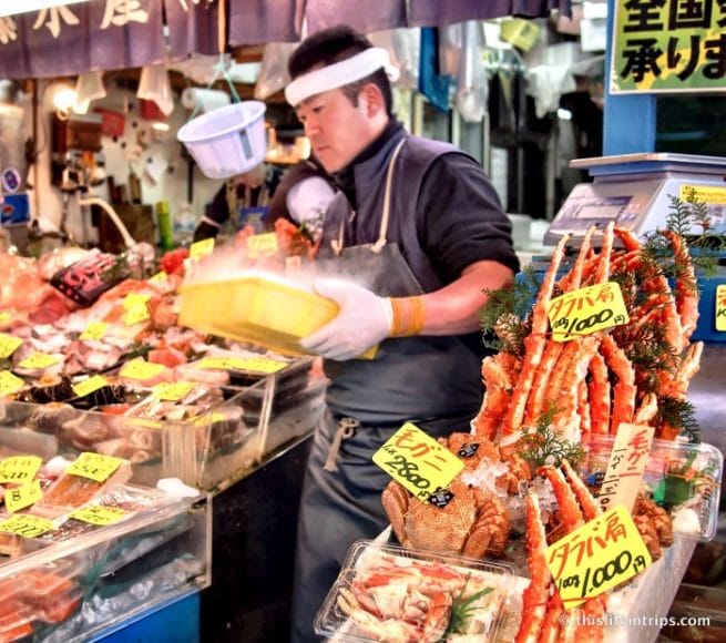 Japan Wonder Travel - Tokyo Fish Market Tour Review