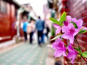 Hoesik Korean Drinking Culture with O'ngo Food Tours