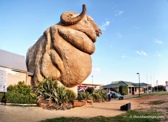 Canberra or Canboring? Let's Find out. - This Life in Trips