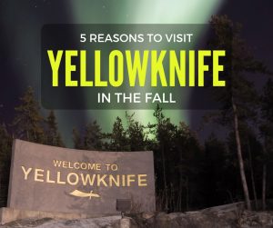 5 Reasons to Visit Yellowknife in the Fall | Canada's Biggest Little City