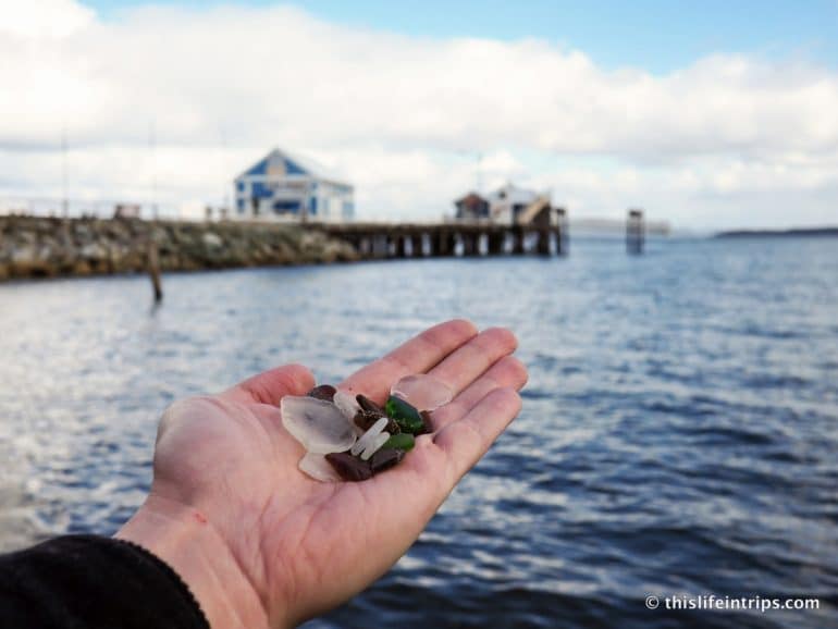 Road Tripping Around Vancouver Island's Pacific Marine Circle Route