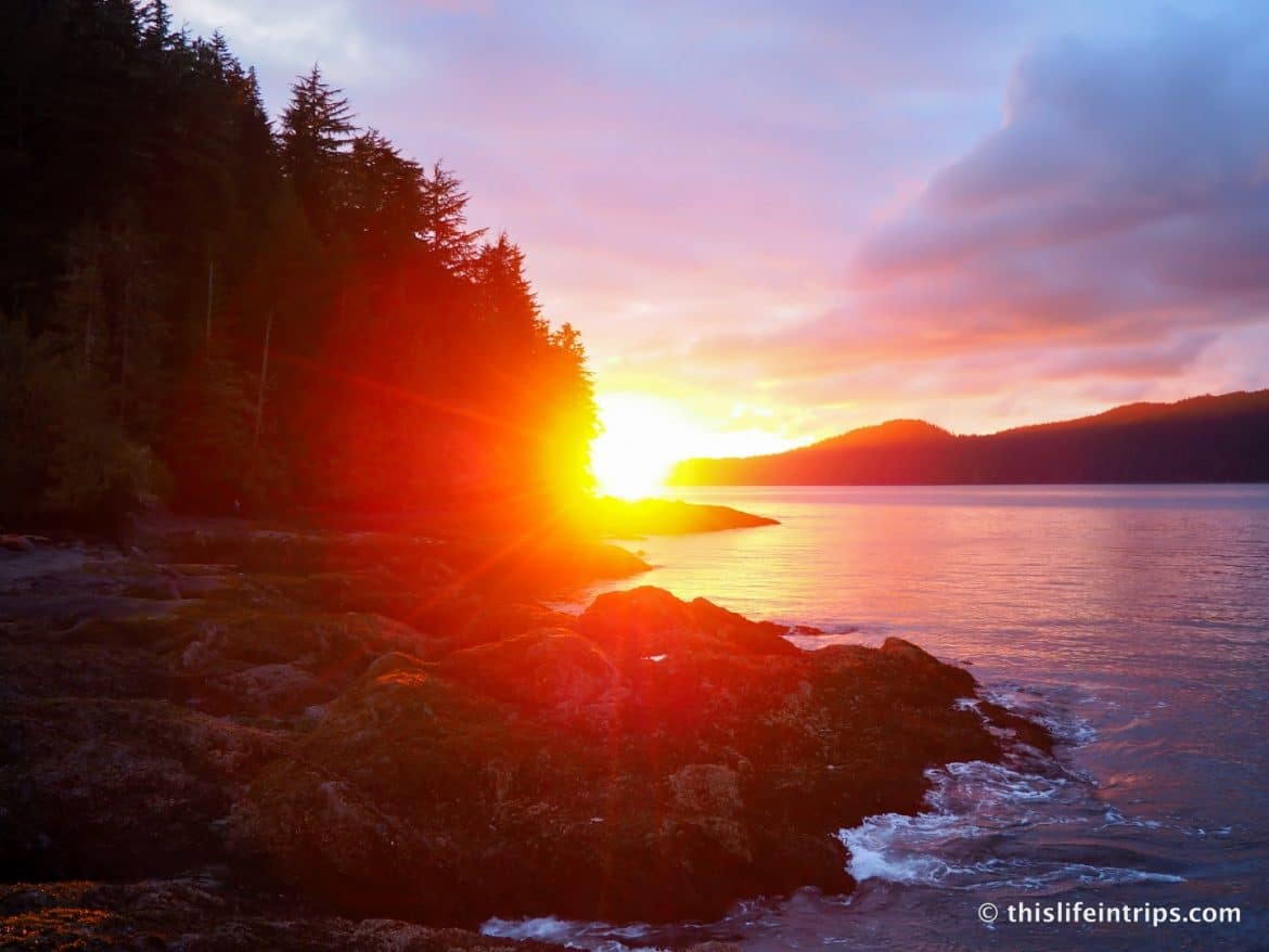 Road Tripping Around Vancouver Island's Pacific Marine Circle Route