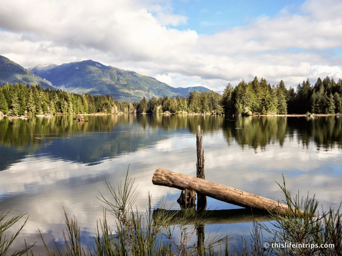 Road Tripping Around Vancouver Island's Pacific Marine Circle Route