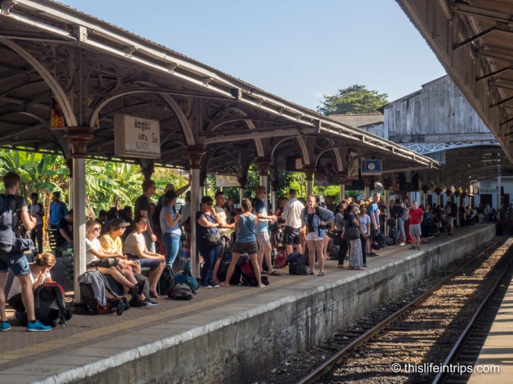 Tips on Taking the Kandy to Ella Train - The World's Most Scenic Train Trip