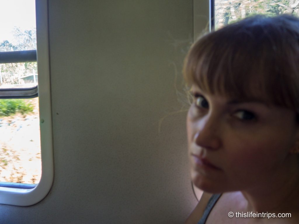 Tips on Taking the Kandy to Ella Train - The World's Most Scenic Train Trip