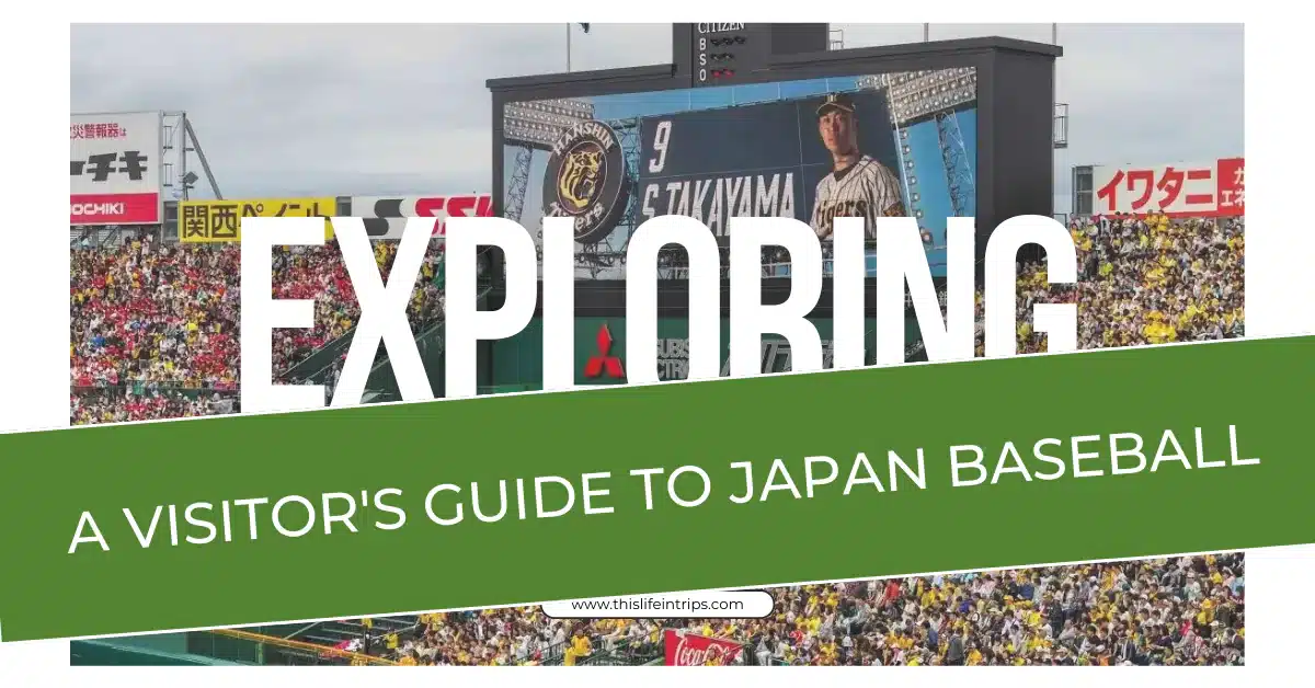 A Visitor's Guide to Japan Baseball - Tips, Tickets, & Etiquette