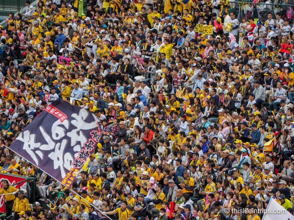A Visitor's Guide to Japan Baseball - Tips, Tickets, & Etiquette