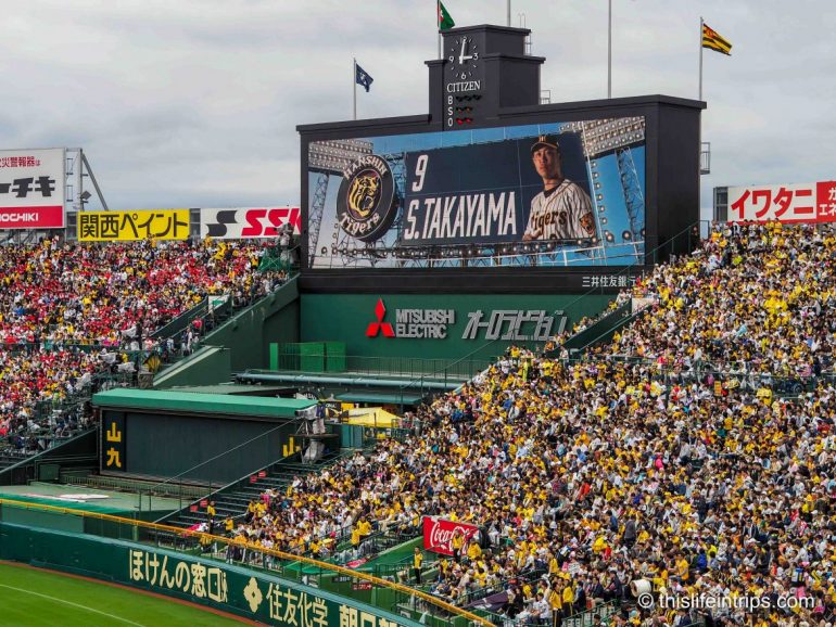 A Visitor's Guide to Japan Baseball - Tips, Tickets, & Etiquette