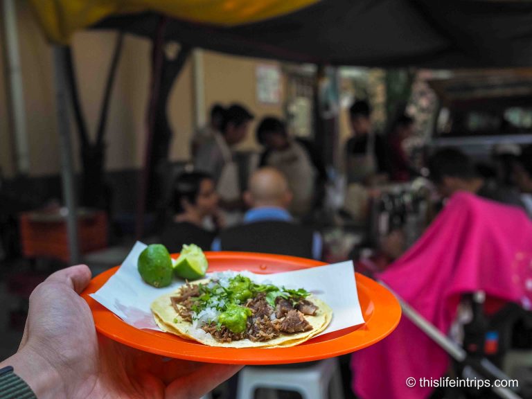 Touring La Condesa Taquerias With Tasty Bites Food Tours