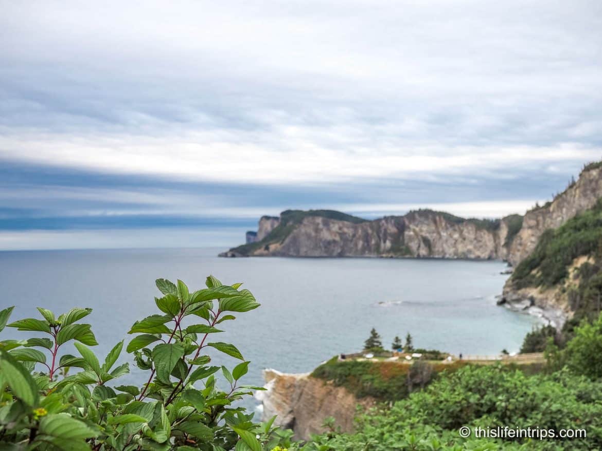A Gaspé Road Trip – What to See, Do, Eat and Drink