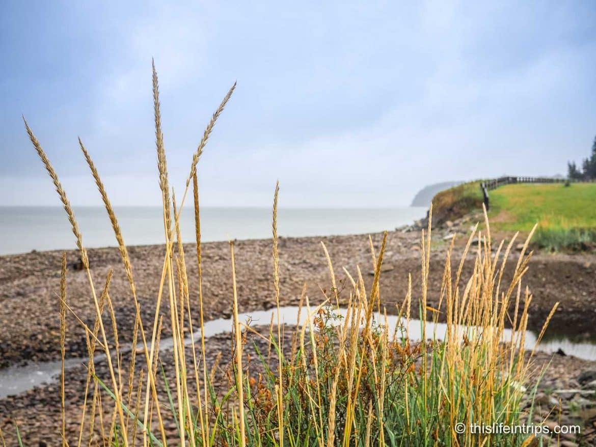 The Best Gaspe Peninsula Road Trip Plan | Gaspesie [2024] – This Life ...