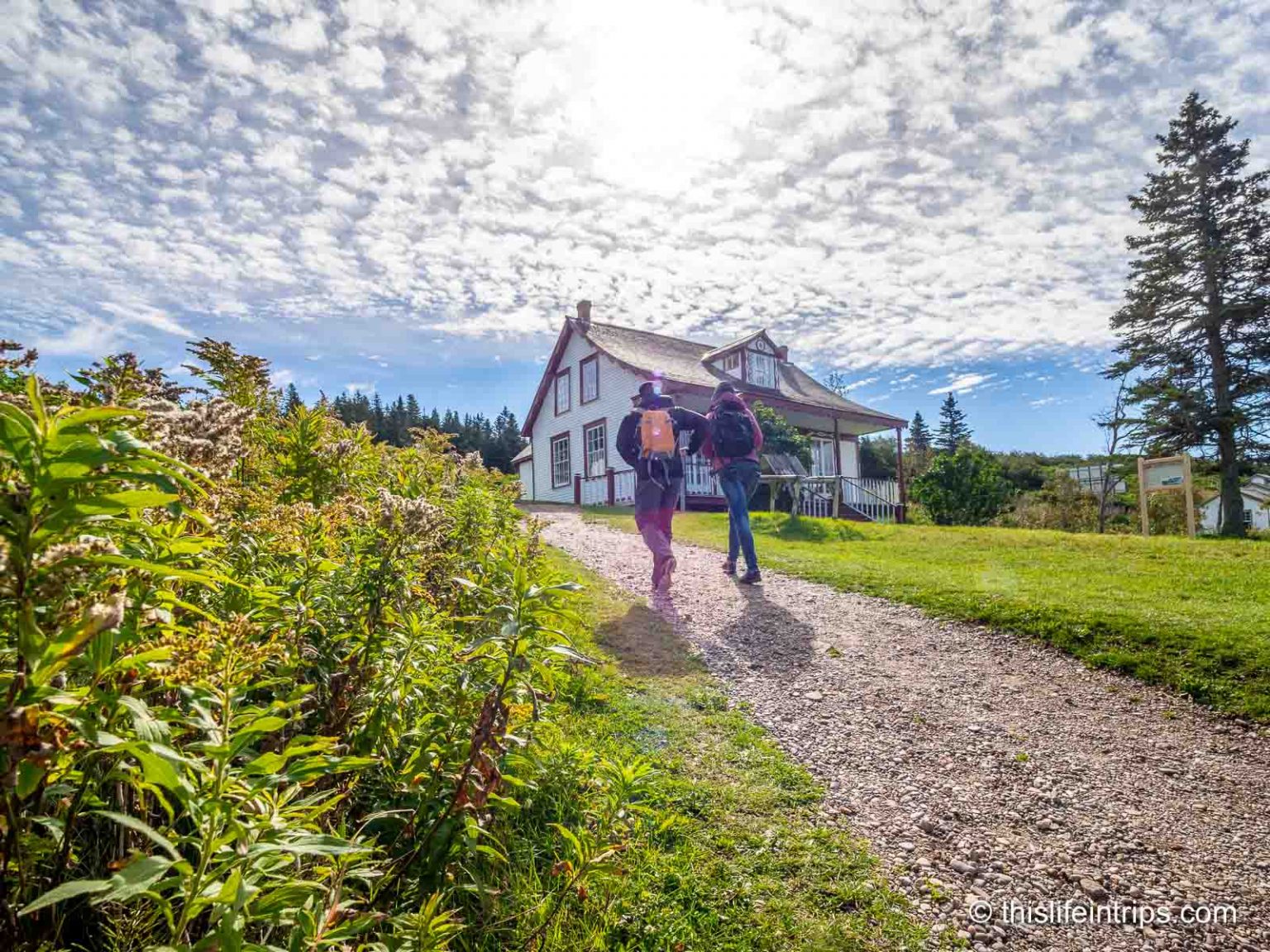 The Best Gaspe Peninsula Road Trip Plan | Gaspesie [2023]