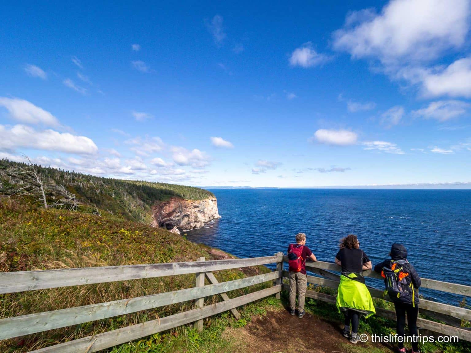 The Best Gaspe Peninsula Road Trip Plan | Gaspesie [2023]