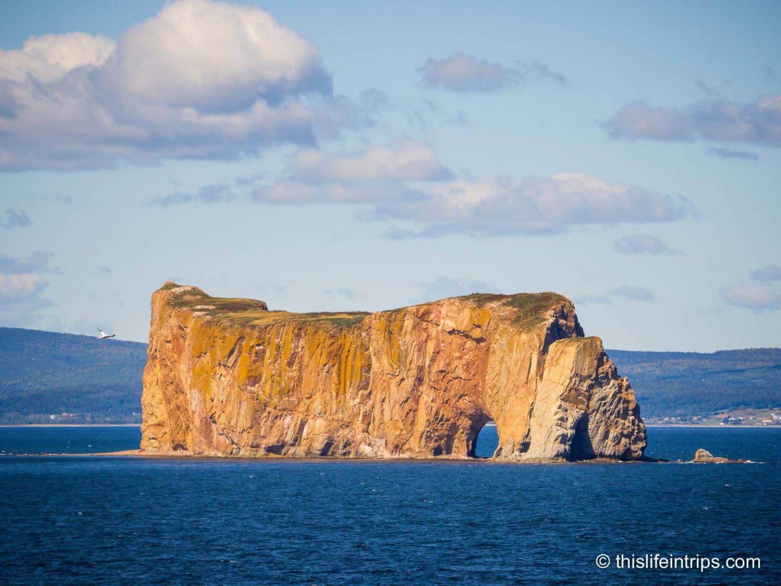 A Gaspé Road Trip – What to See, Do, Eat and Drink