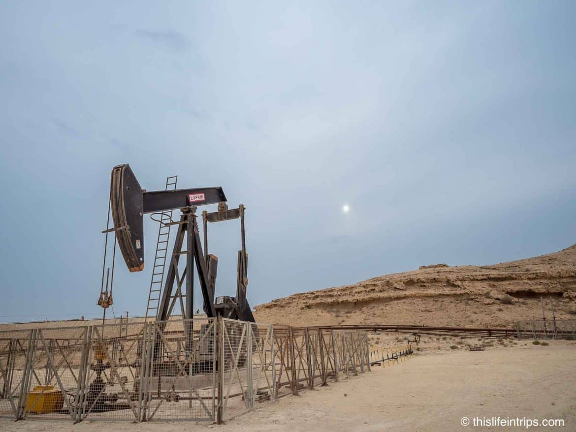 12 Unique Things to Do in Bahrain on a Cruise Stop or Layover