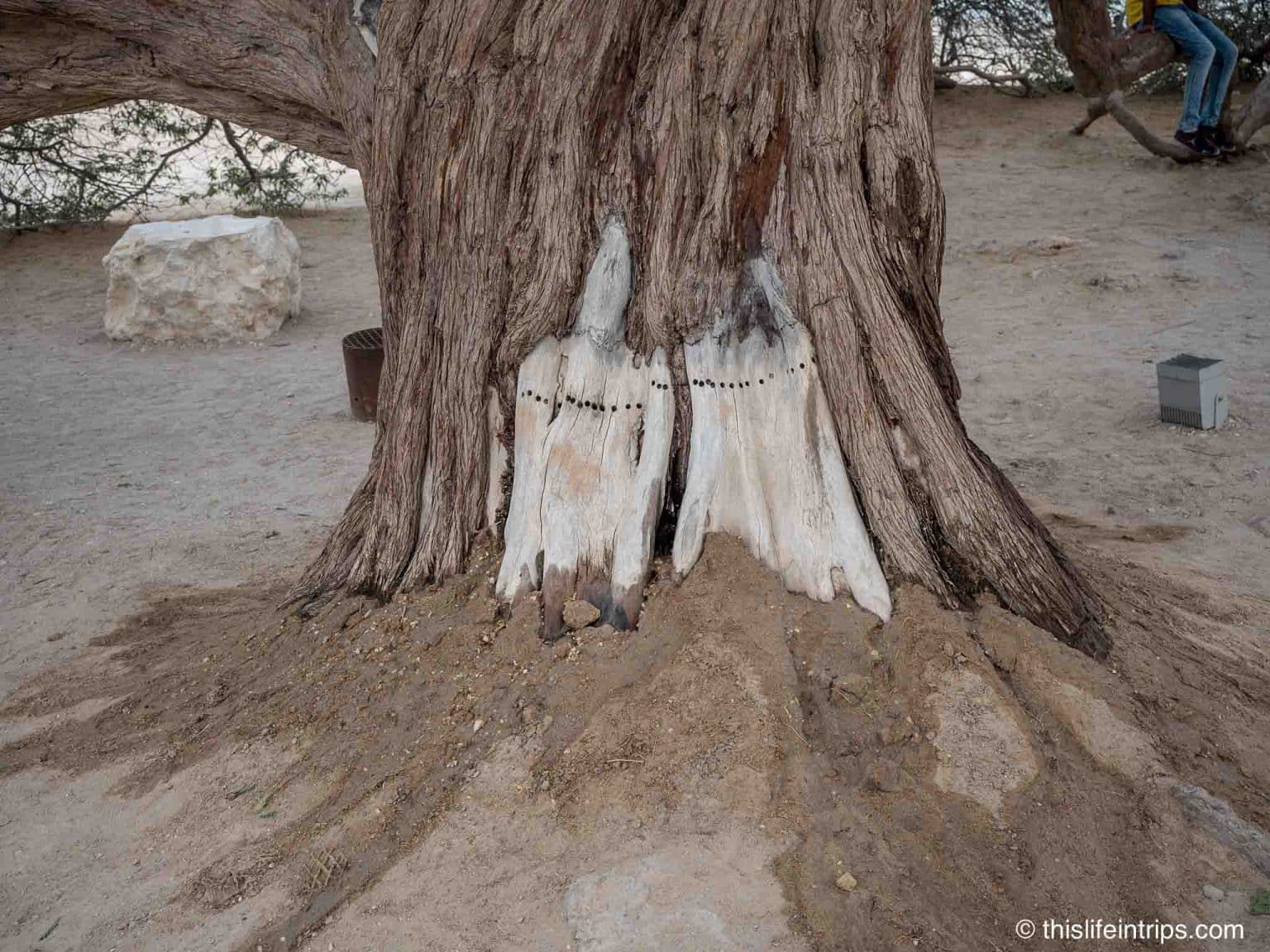 12 Unique Things to Do in Bahrain on a Cruise Stop or Layover