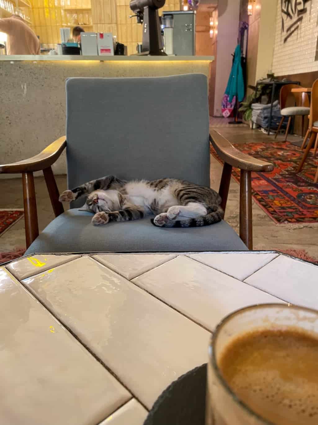 Baku Cafes & Coffee Culture: A Guide to the Best Cafés – This Life in Trips