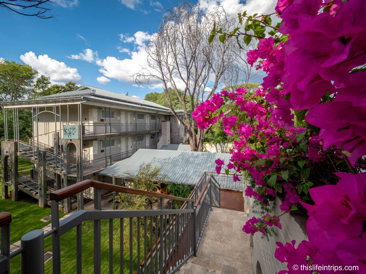 Palm River Hotel Victoria Falls Review: Luxury and Adventure