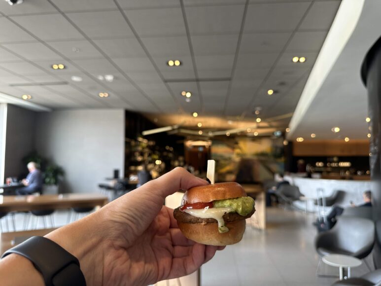 Review: Air Canada Rouge Business Class A319 - YYZ to YYG