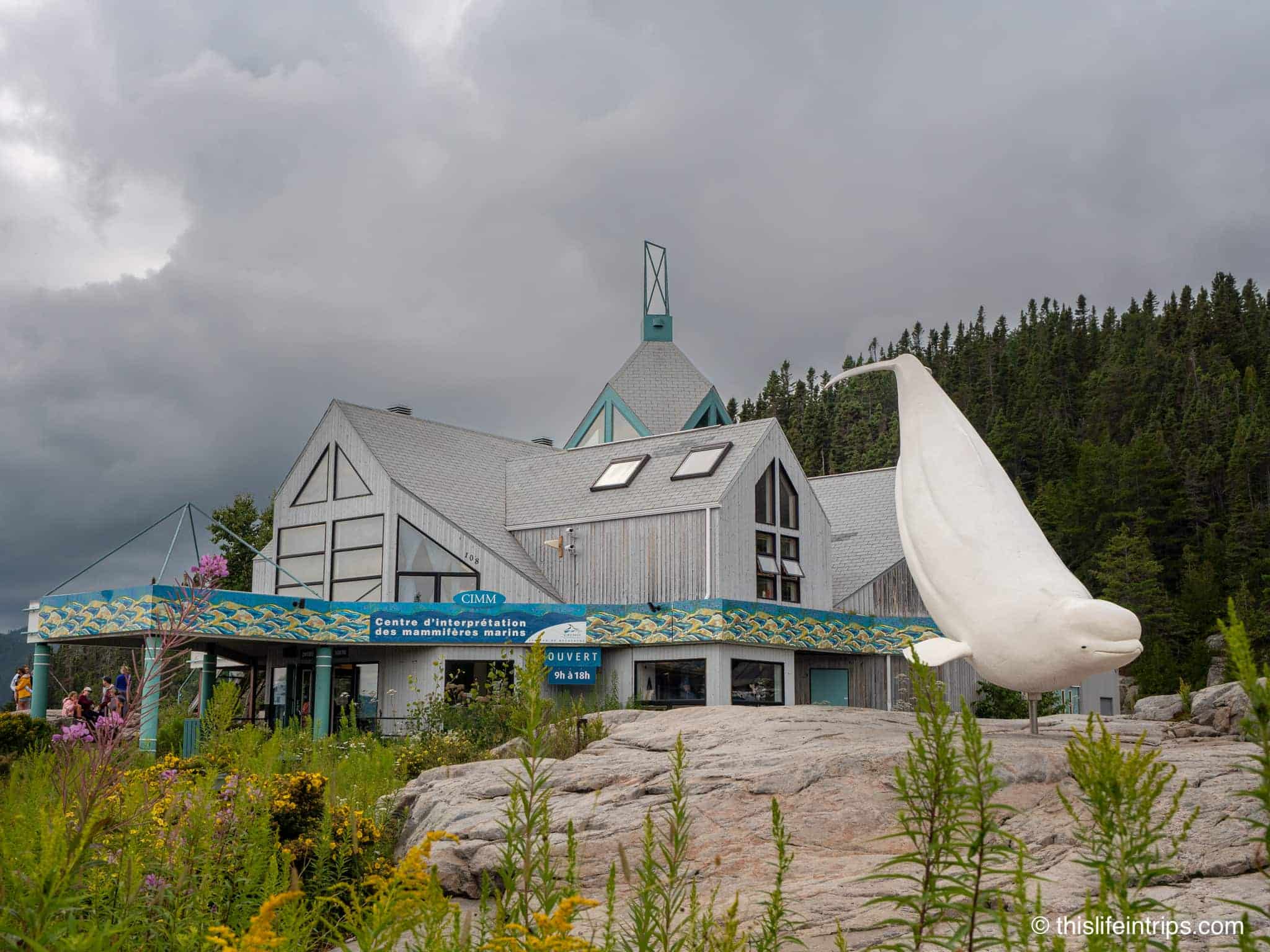 The Best of Route 138 Quebec - Road Trip Cote Nord Itinerary