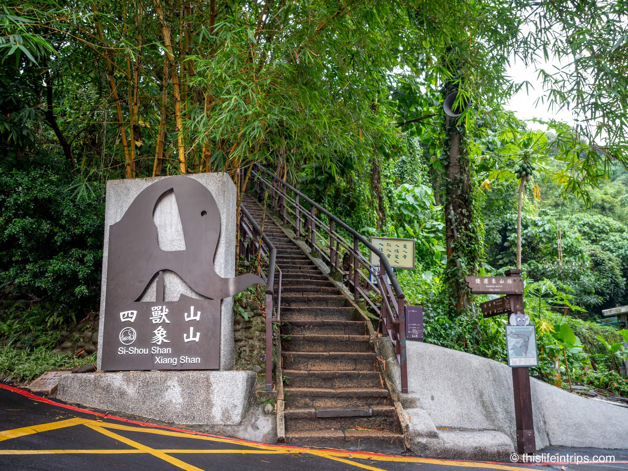 5 Tips for Hiking Elephant Mountain in Taipei: What to Know