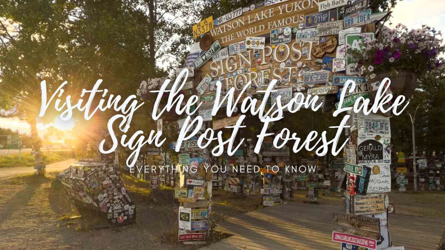Watson Lake Sign Post Forest: A Must-See Yukon Roadside Stop